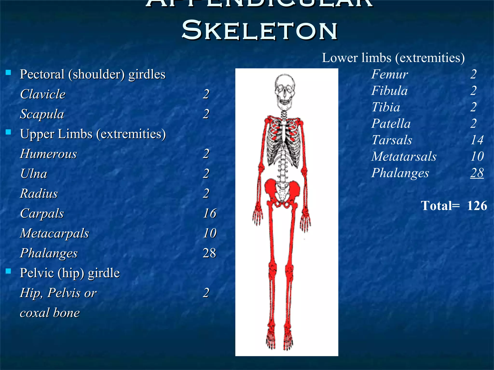 Anatomy terms & skeletal system | PPT