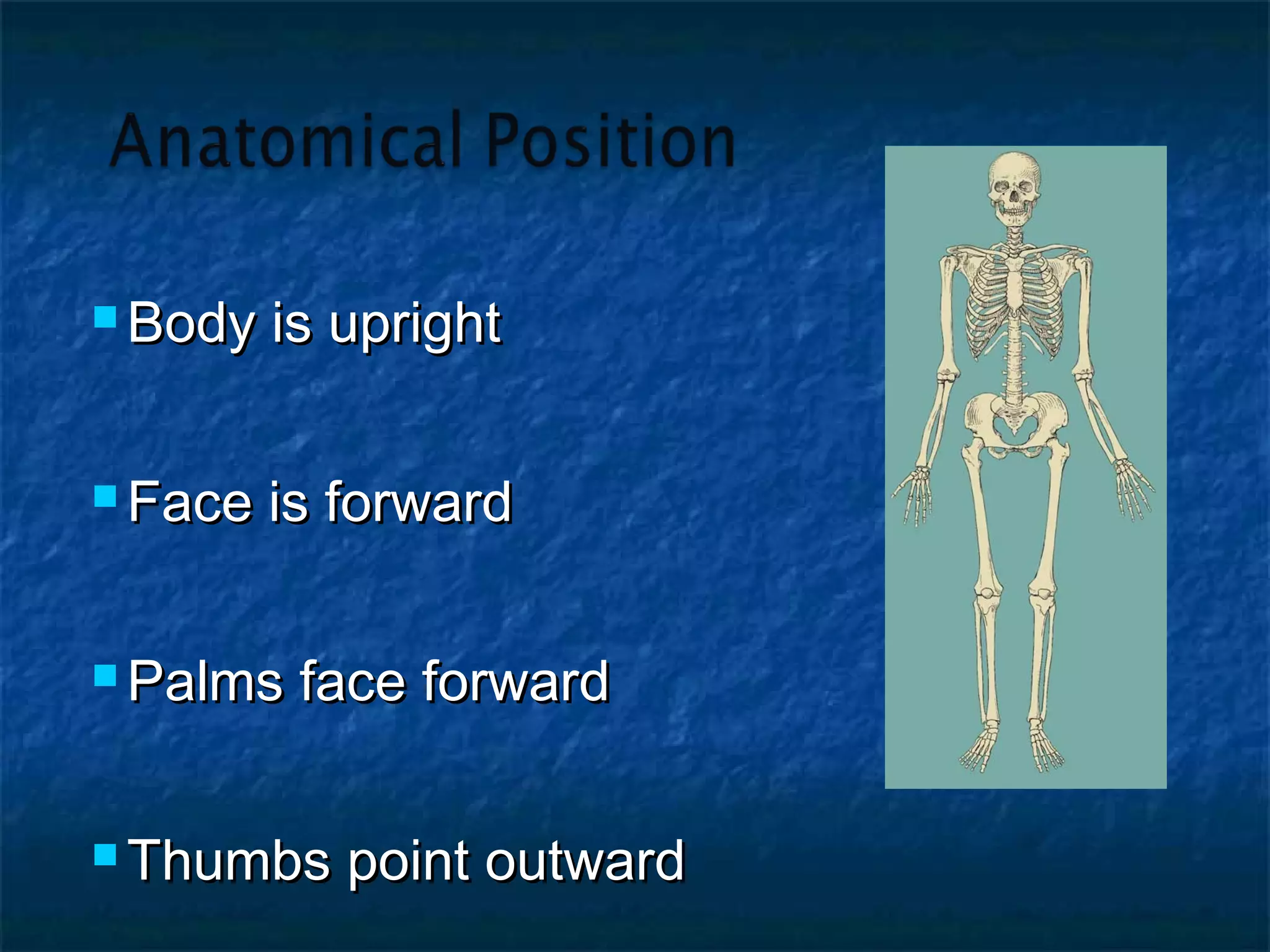 Anatomy terms & skeletal system | PPT