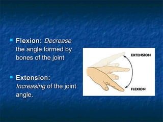 Anatomy terms & skeletal system | PPT