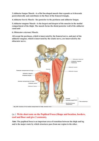 ANATOMY TEST QUESTIONS FOR UPPER AND LOWER LIMB - Copy.docx