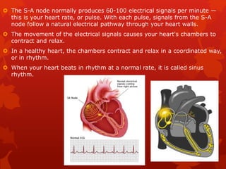 Anatomy (The Heart) | PPTX