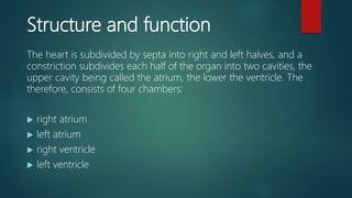 Anatomy of the Heart | PPT