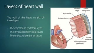 Anatomy of the Heart | PPTX