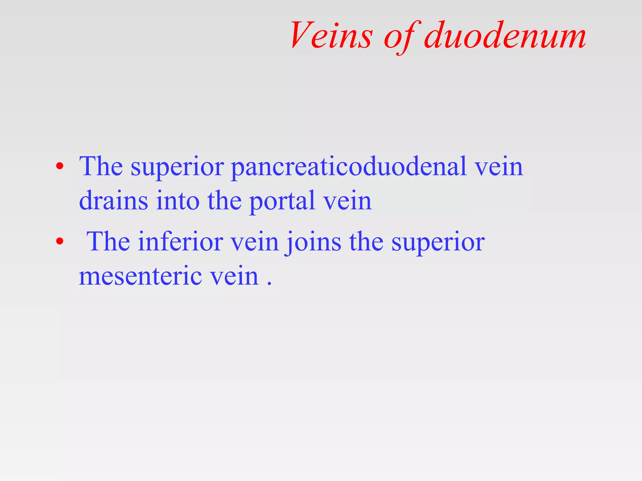 Anatomy the small and large intestine.pptx