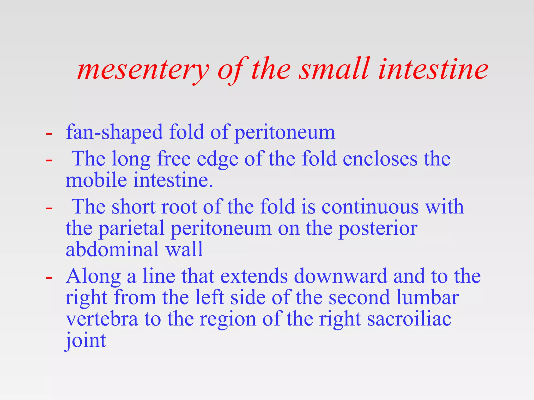 Anatomy the small and large intestine.pptx