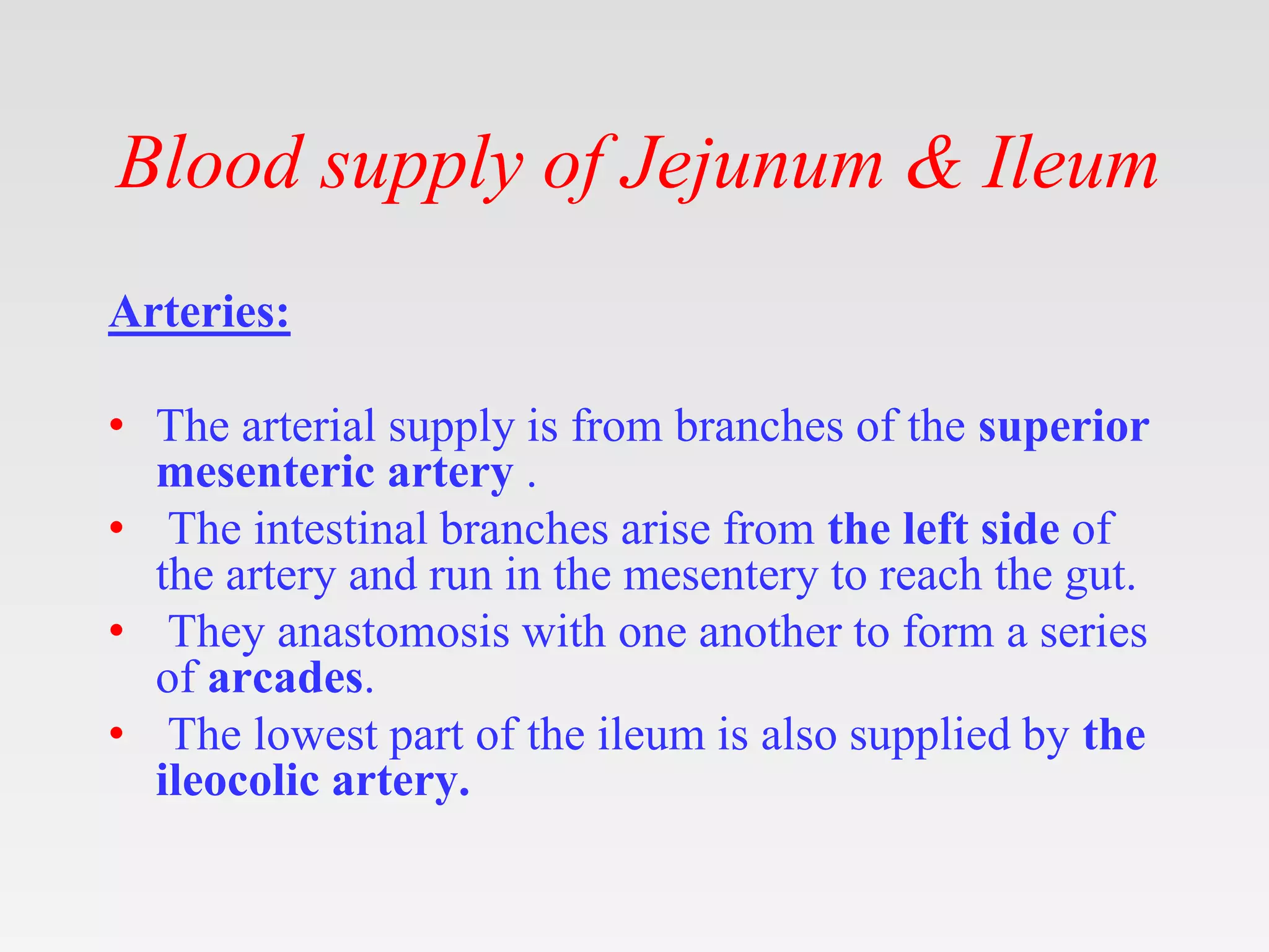 Anatomy the small and large intestine.pptx