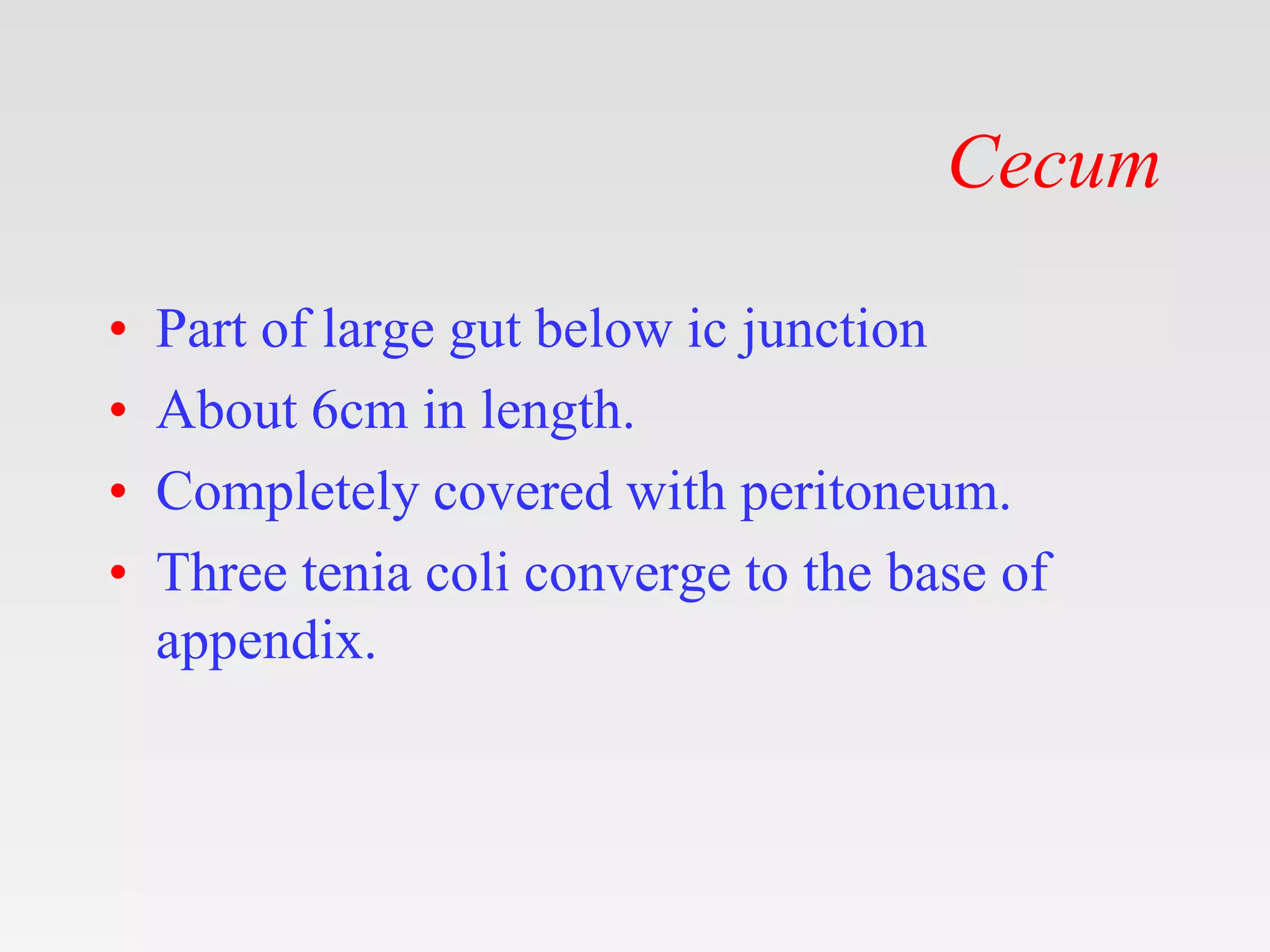 Anatomy the small and large intestine.pptx