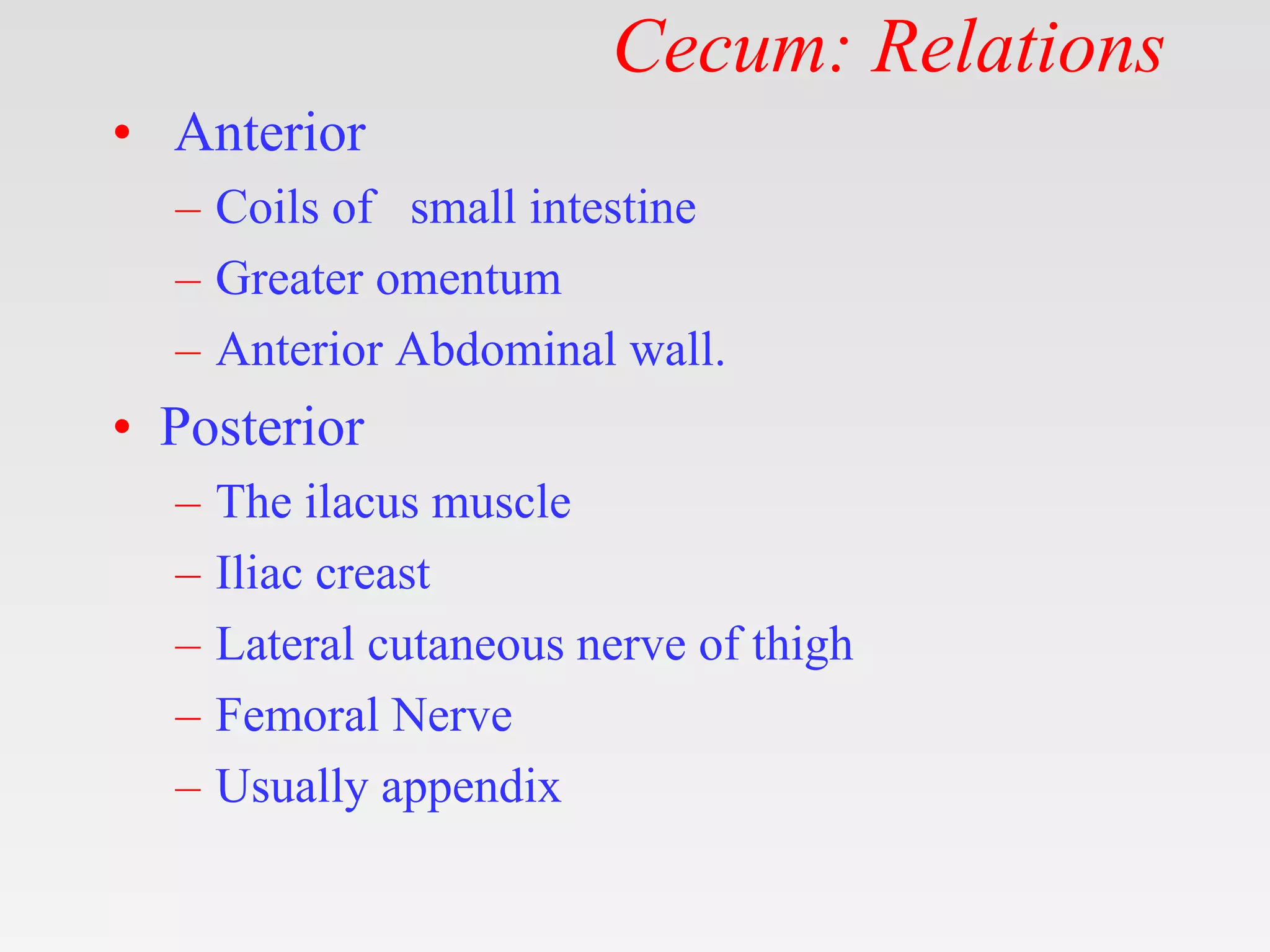 Anatomy the small and large intestine.pptx