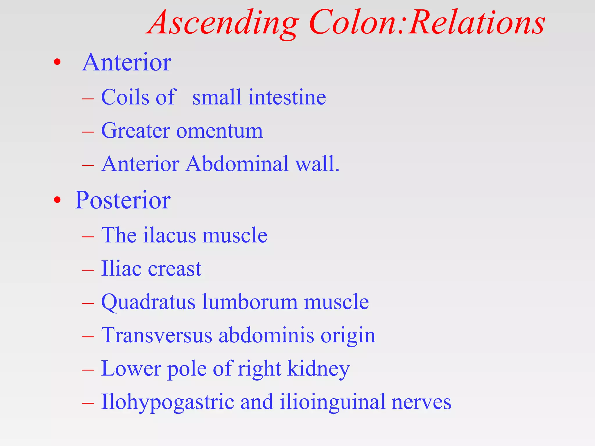 Anatomy the small and large intestine.pptx
