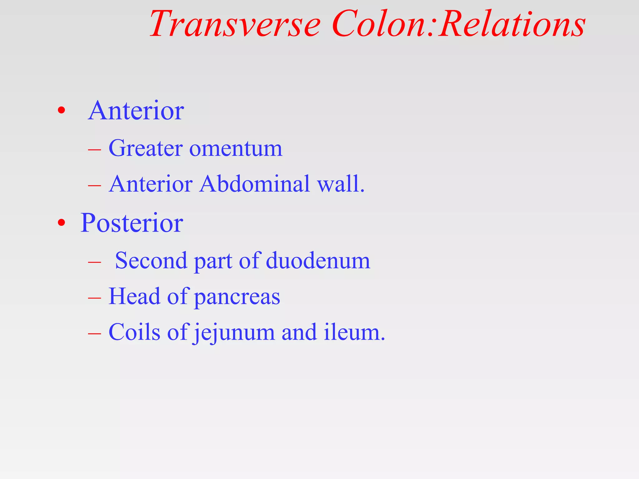 Anatomy the small and large intestine.pptx