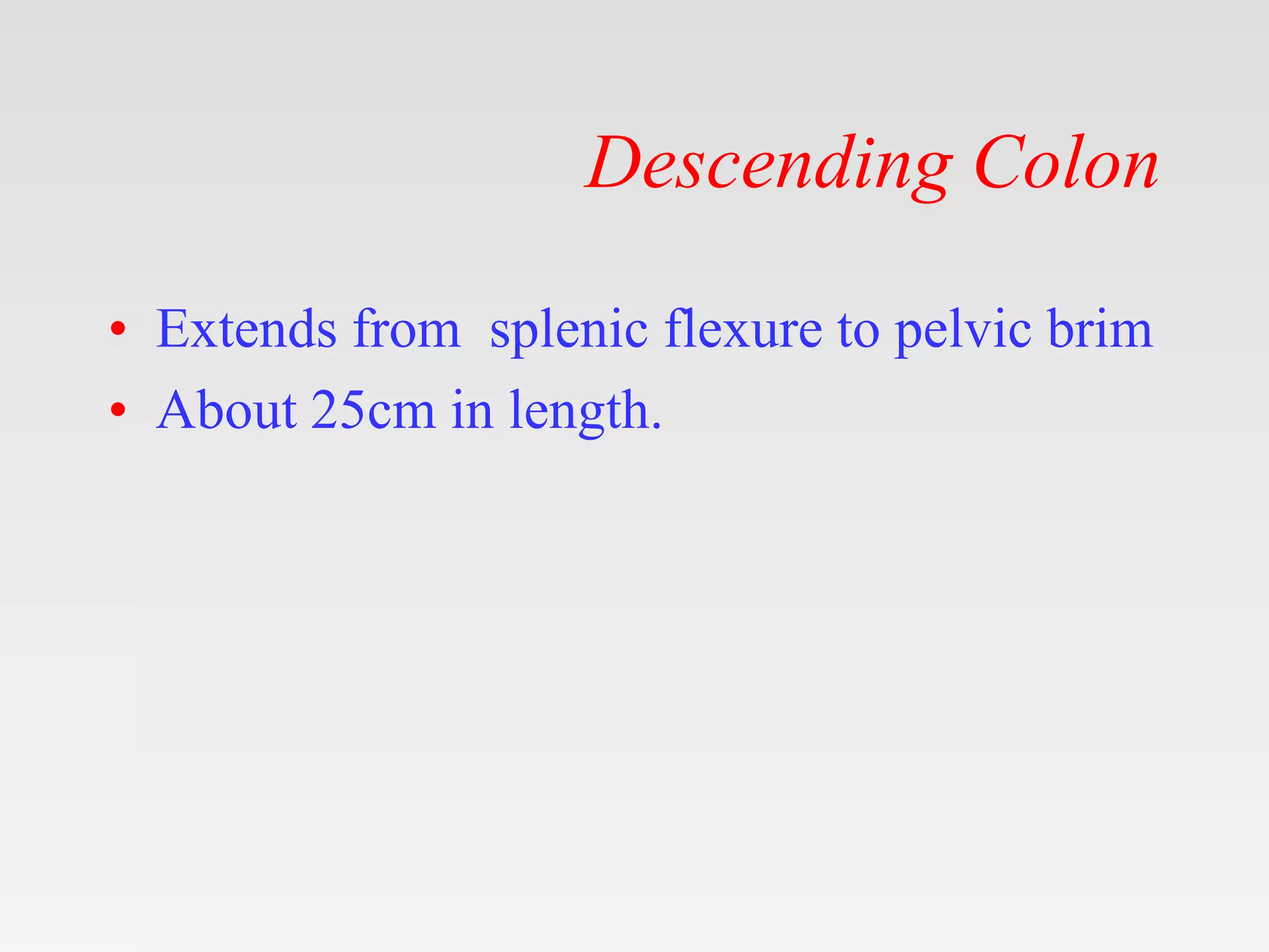 Anatomy the small and large intestine.pptx