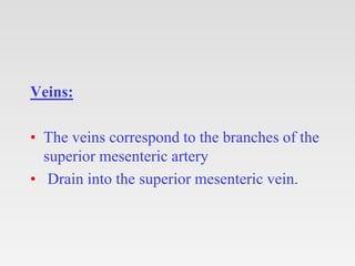 Anatomy the small and large intestine.pptx