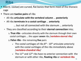 Anatomy thorax | PPTX