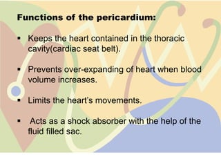The pericardium and the pericardial sinuses | PPTX | Heart and ...