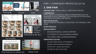 Mapping Pain, Restoring Balance. Unlocking the Body's Natural Healing ...