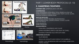 Mapping Pain, Restoring Balance. Unlocking the Body's Natural Healing ...