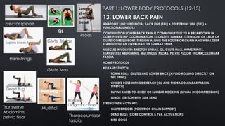 Mapping Pain, Restoring Balance. Unlocking the Body's Natural Healing ...