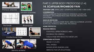 Mapping Pain, Restoring Balance. Unlocking the Body's Natural Healing ...