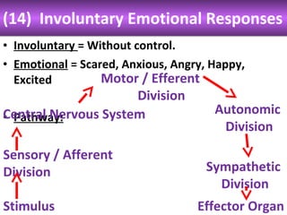 Anatomy Unit 1 Notes: Cells & Organization | PPT