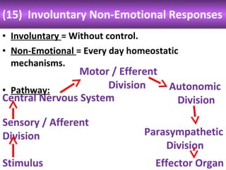 Anatomy Unit 1 Notes: Cells & Organization | PPT