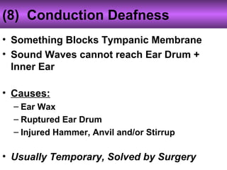 Anatomy Unit 1 Notes: Hearing & Equilibrium | PPT