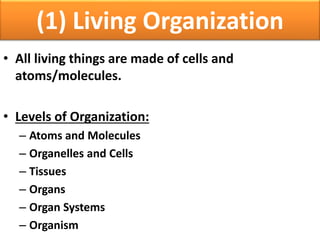 Anatomy Unit 1 Notes: Living Organization & Rats | PPTX