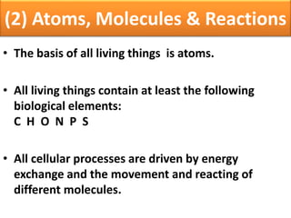 Anatomy Unit 1 Notes: Living Organization & Rats | PPTX