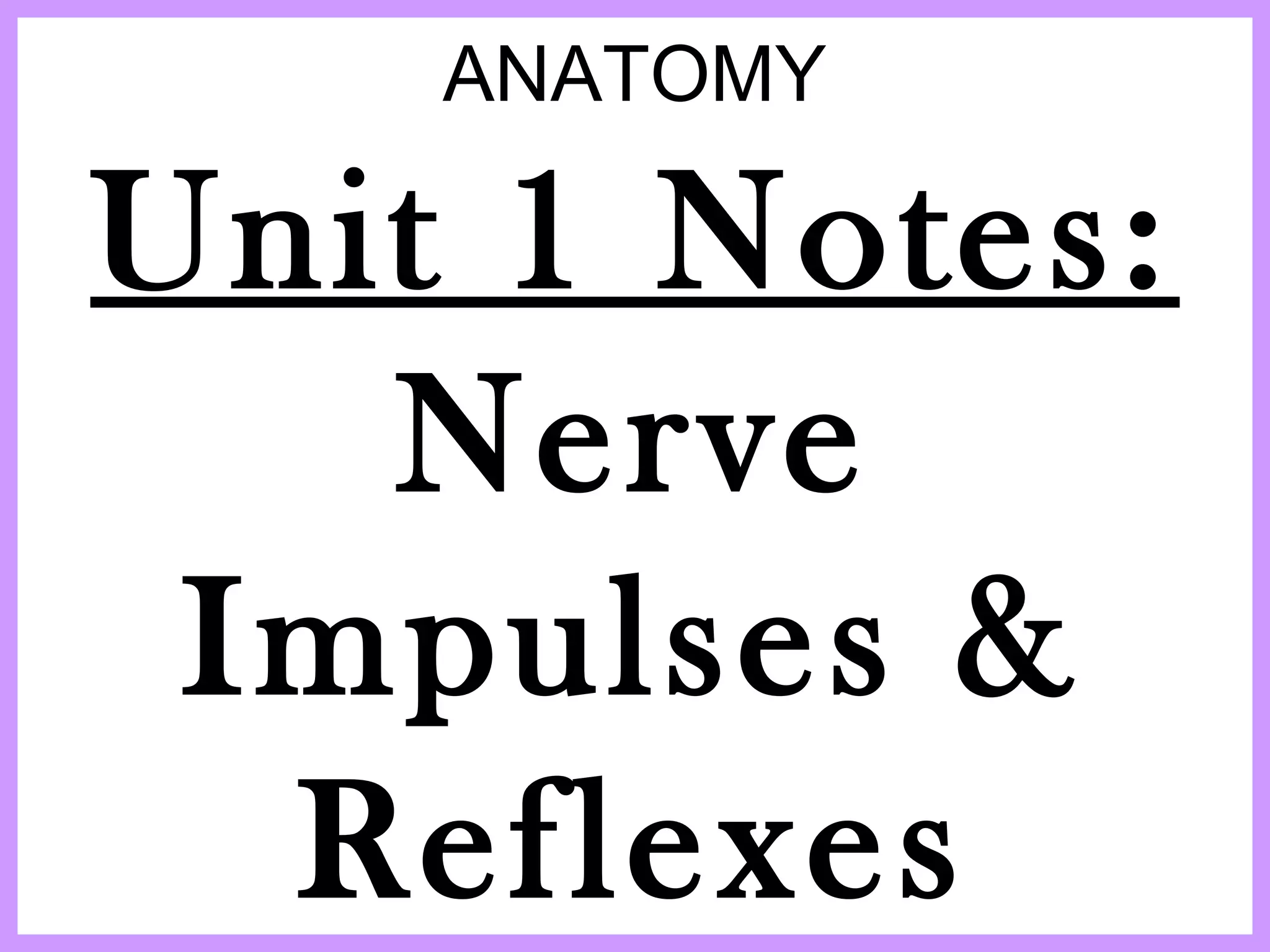 Anatomy Unit 1 Notes: Nerve Impulses & Reflexes | PPT