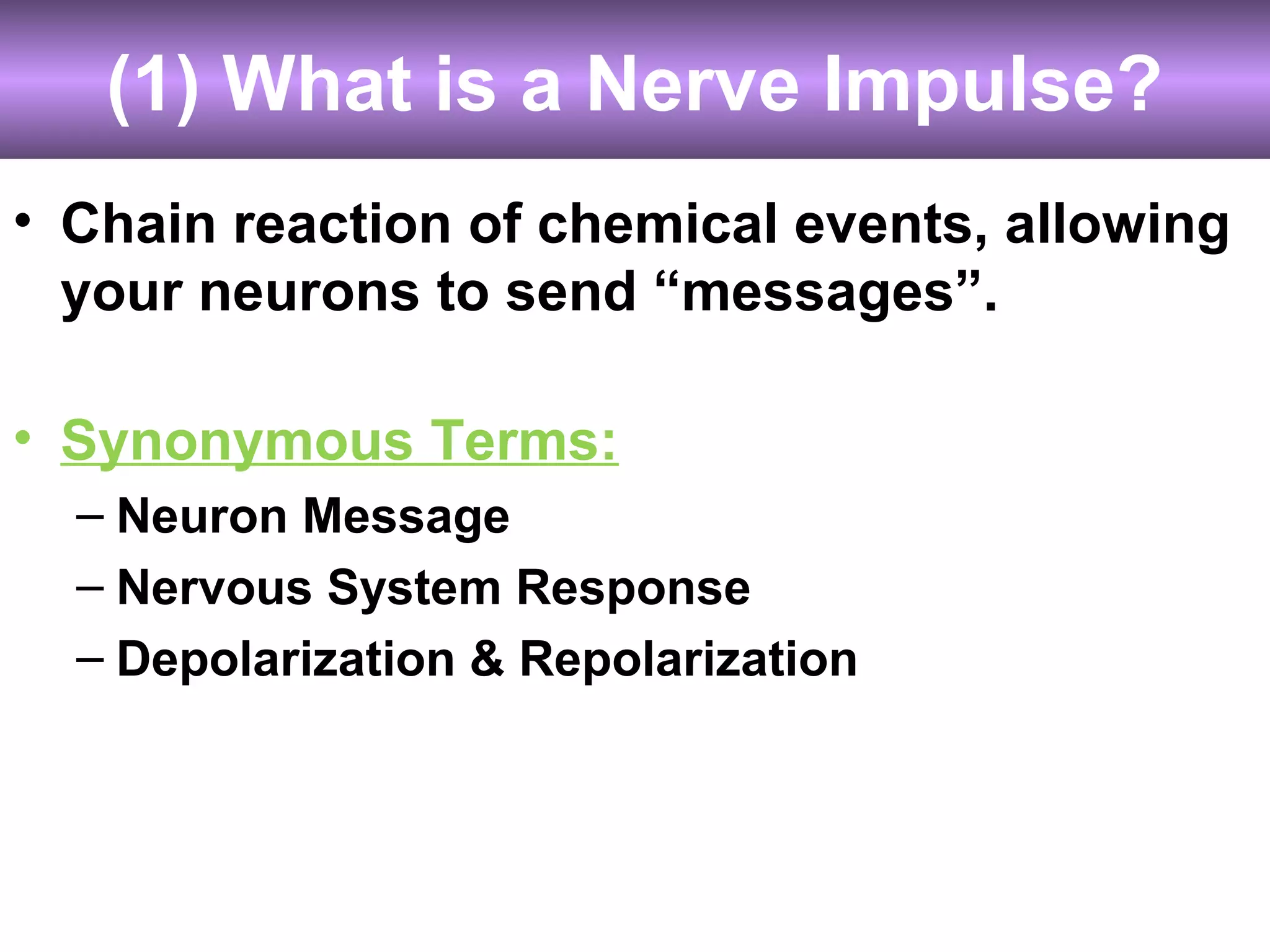 Anatomy Unit 1 Notes: Nerve Impulses & Reflexes | PPT