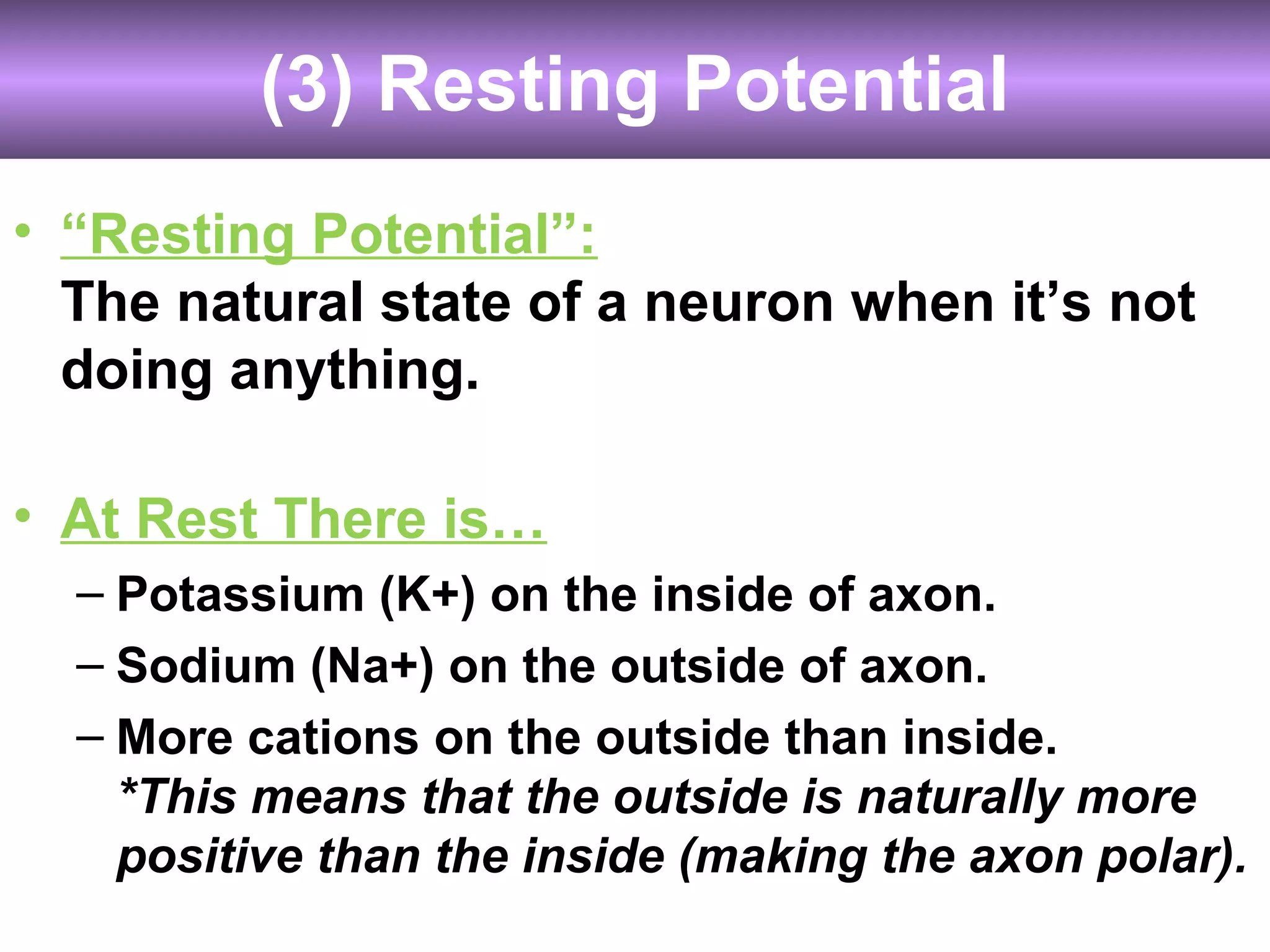 Anatomy Unit 1 Notes: Nerve Impulses & Reflexes | PPT