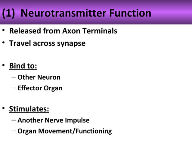 Anatomy Unit 1 Notes: Neurotransmitters | PPT