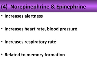 Anatomy Unit 1 Notes: Neurotransmitters | PPT