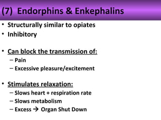 Anatomy Unit 1 Notes: Neurotransmitters | PPT