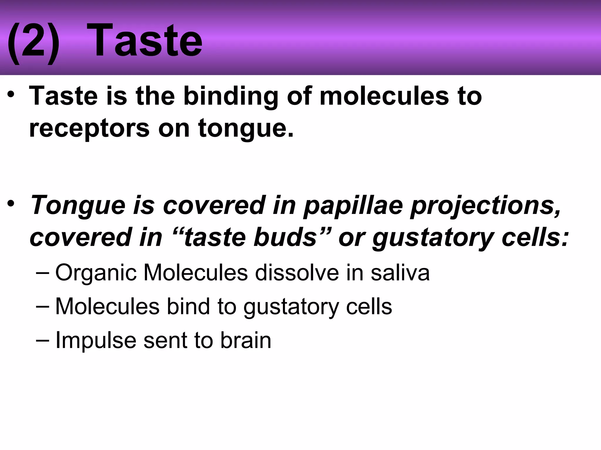 Anatomy Unit 1 Notes: Taste, Touch & Smell | PPT