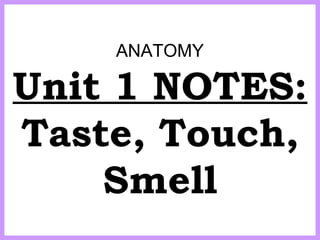 Anatomy Unit 1 Notes: Taste, Touch & Smell | PPT
