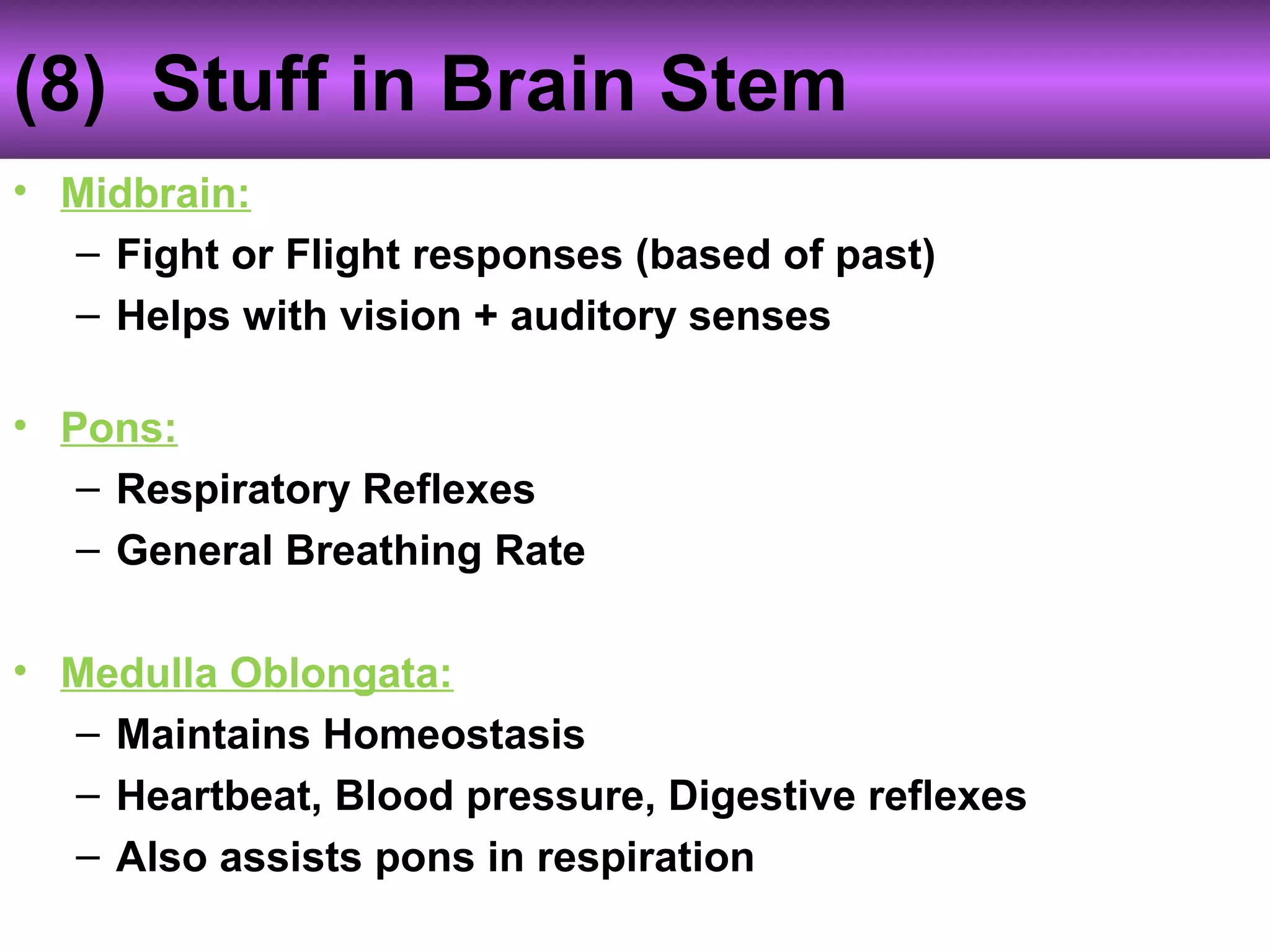 Anatomy Unit 1 Notes: The Brain | PPT
