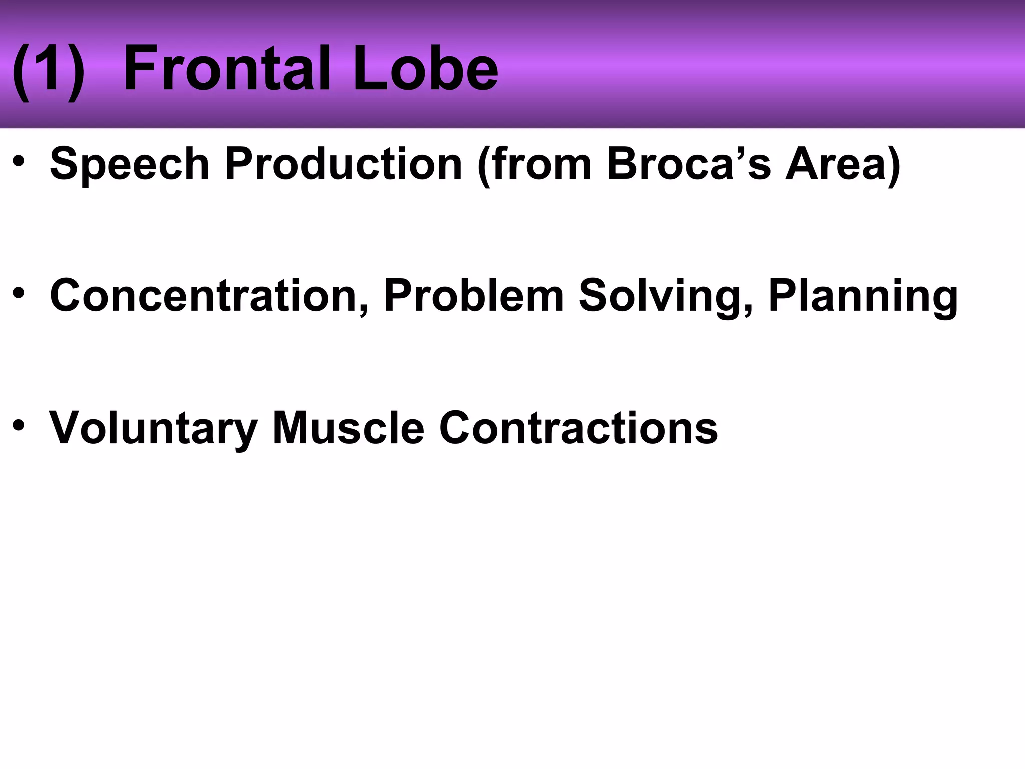 Anatomy Unit 1 Notes: The Brain | PPT