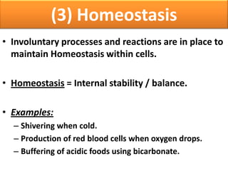 Anatomy unit 1 introduction notes | PPTX