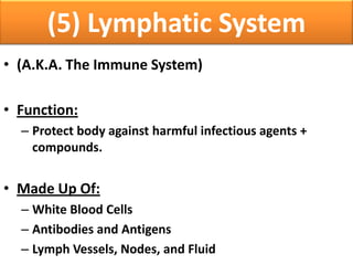 Anatomy: Unit 1 Introduction--Organ System and Organization | PPTX