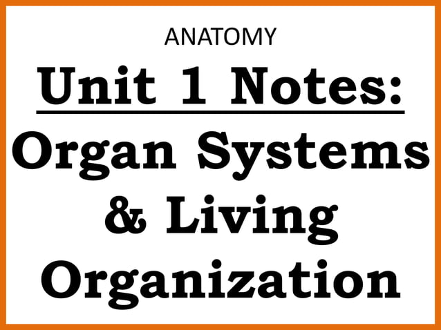 Anatomy unit 1 introduction organ system and organization notes | PPT