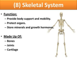 Anatomy unit 1 introduction organ system and organization notes | PPTX