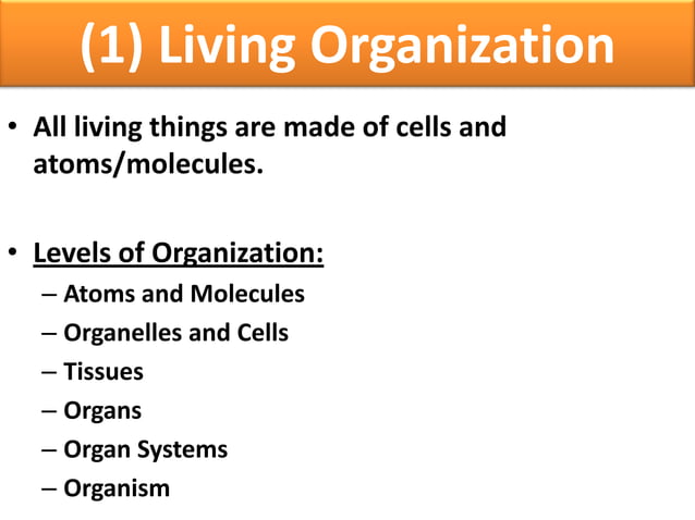 Anatomy unit 1 introduction organ system and organization notes | PPT