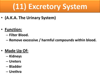 Anatomy unit 1 introduction organ system and organization notes | PPTX