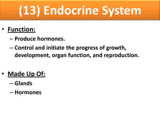 Anatomy unit 1 introduction organ system and organization notes | PPTX