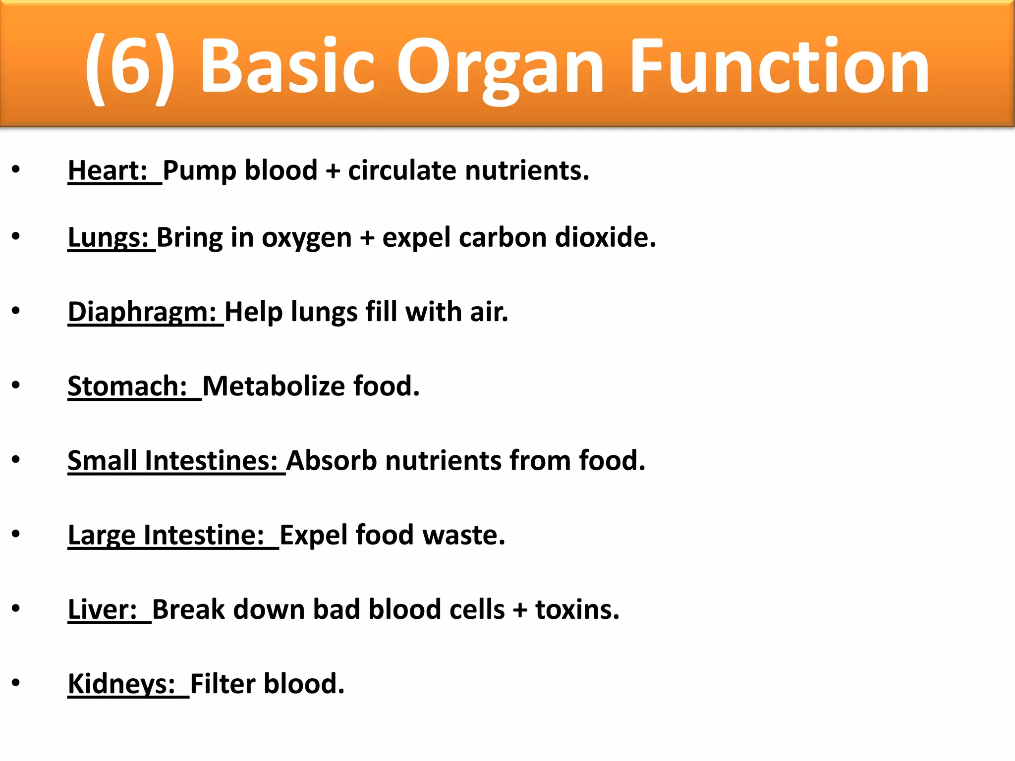 Anatomy unit 1 introduction rat dissection notes | PPTX