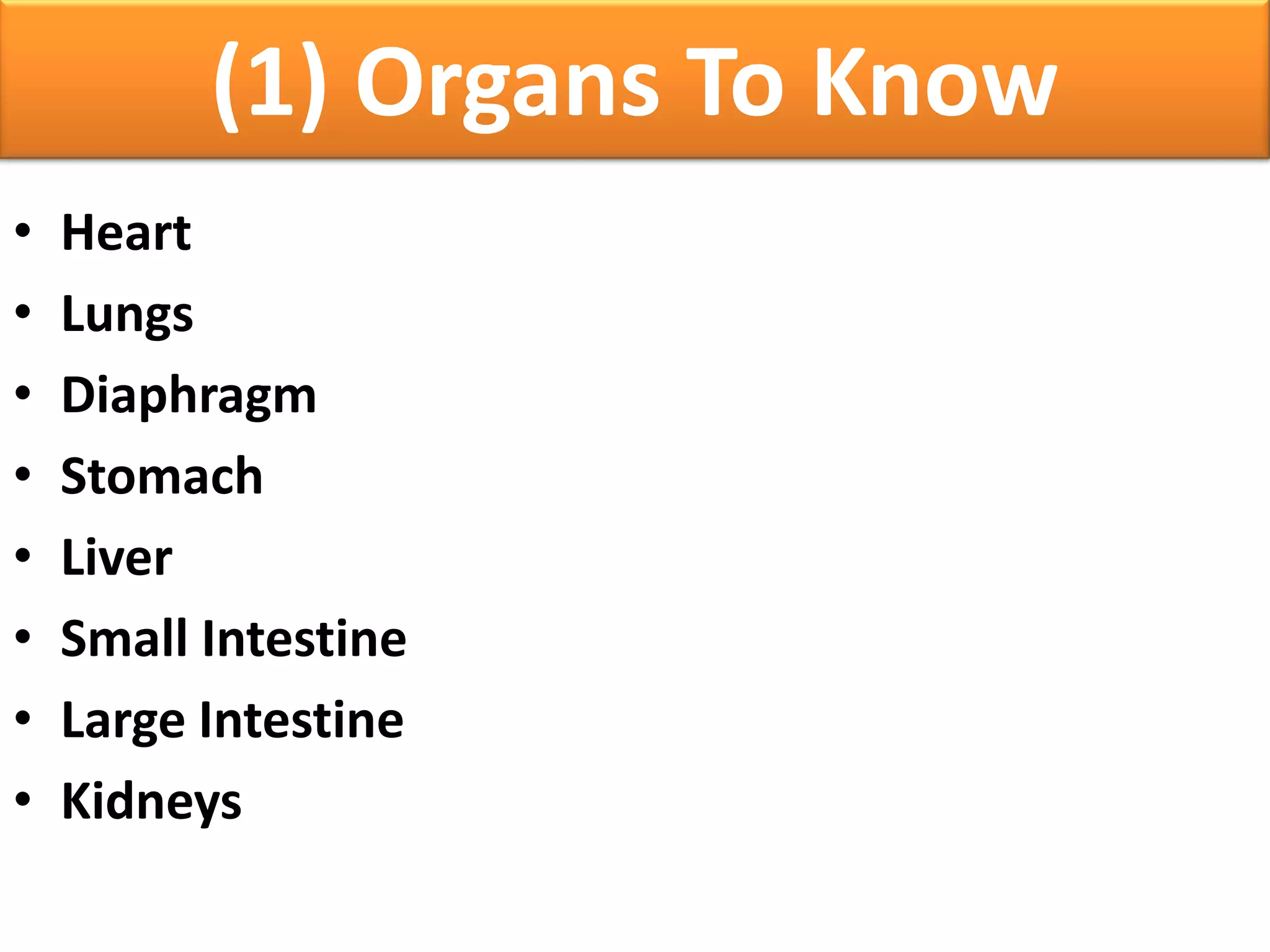 Anatomy unit 1 introduction rat dissections | PPTX