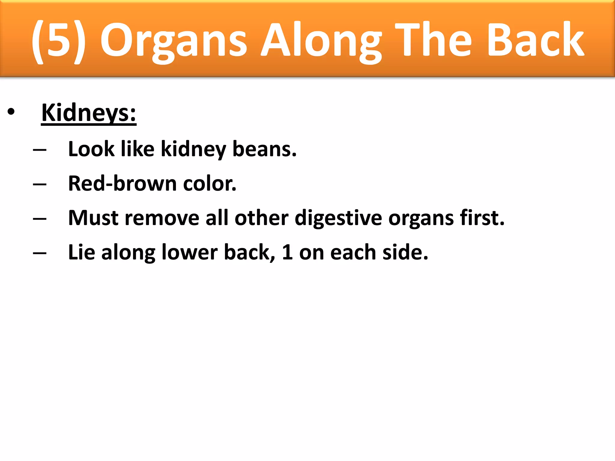 Anatomy unit 1 introduction rat dissections | PPTX