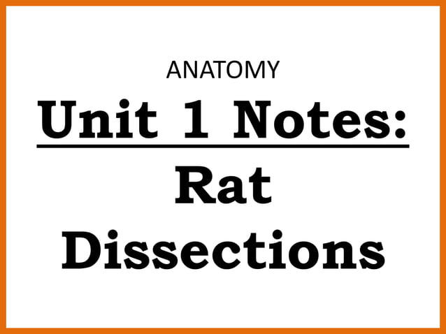 Anatomy unit 1 introduction rat dissections | PPT