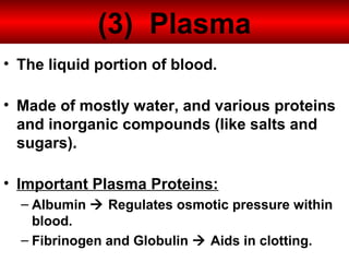 Anatomy Unit 2 Notes: Blood Composition | PPT