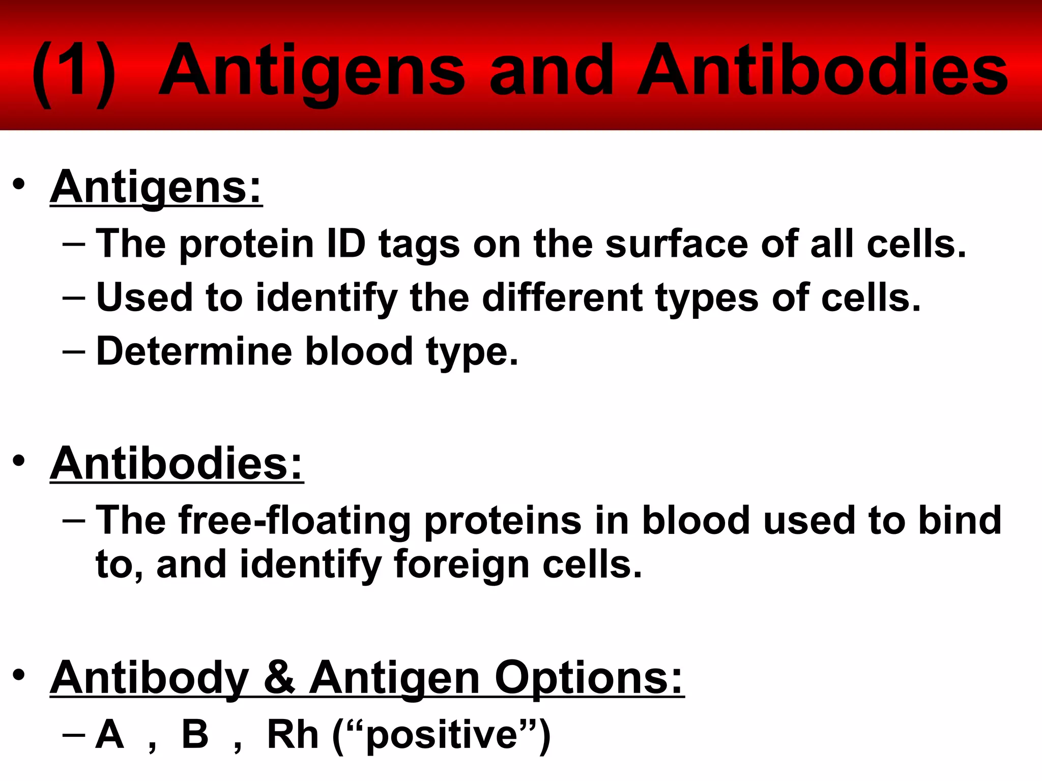 Anatomy Unit 2 Notes: Blood Typing | PPT